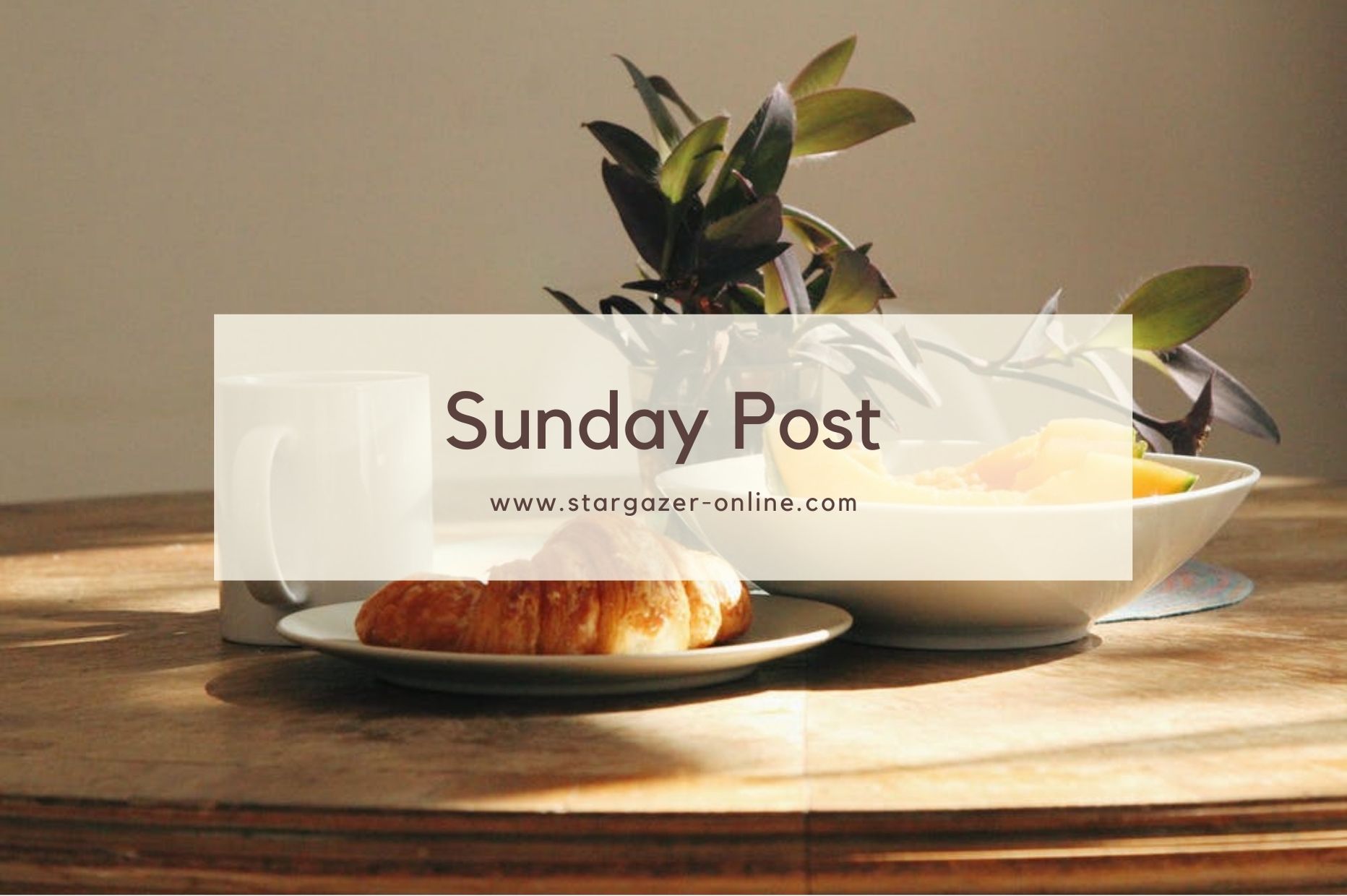 Sunday Post: Freedom, Women's Prize, Sci-fi Poetry - For Book Lovers ...